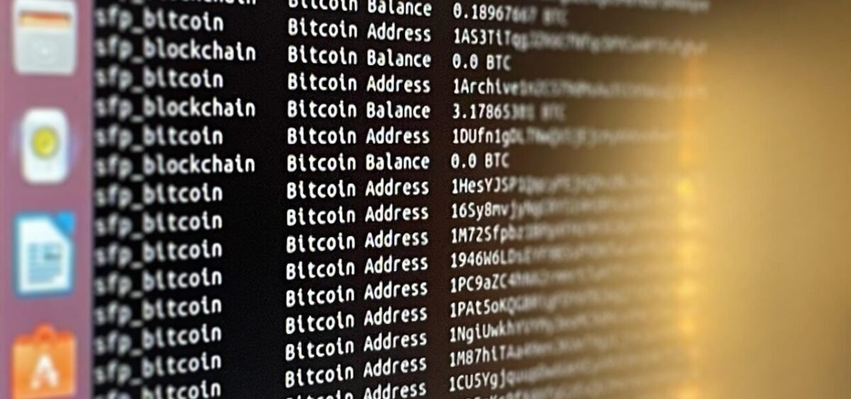 Wallet Address Lookup: Ensure Your Digital Security – The Coin Investor